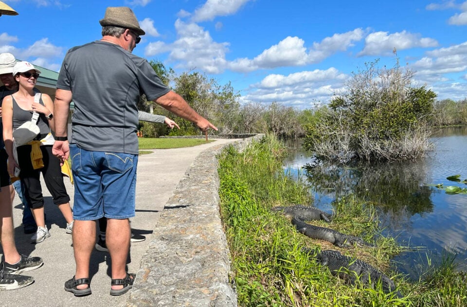Everglades National Park: 2024 insider tips for best visit