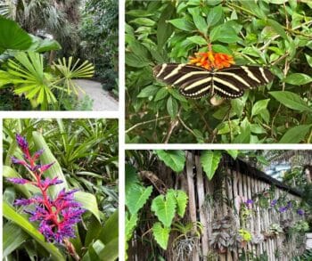 Ann Norton Sculpture Gardens is a gorgeous hidden treasure