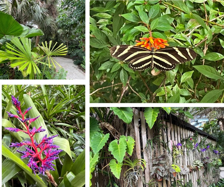 Ann Norton Sculpture Gardens is a gorgeous hidden treasure