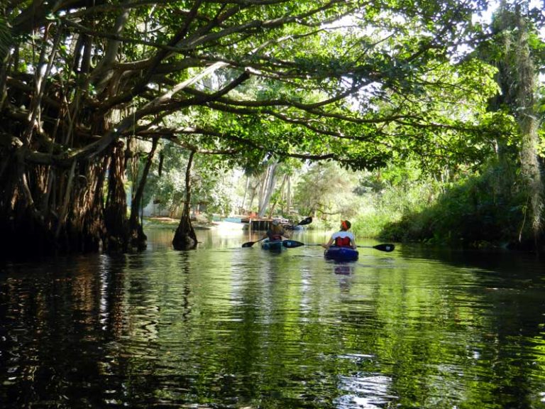 3 stunning Southwest Florida kayak trails to discover