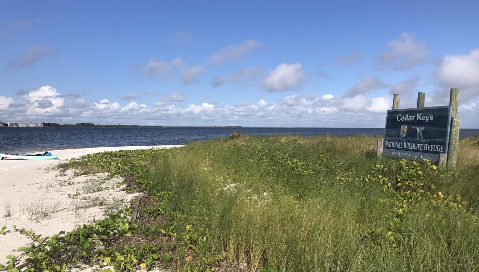 Atsena Otie island: Cedar Key’s easy, fun, scenic kayak trip
