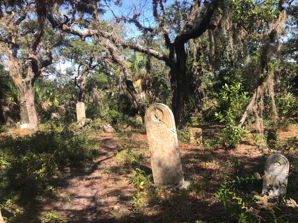 6 things to do in Cedar Key, a charming, historic spot