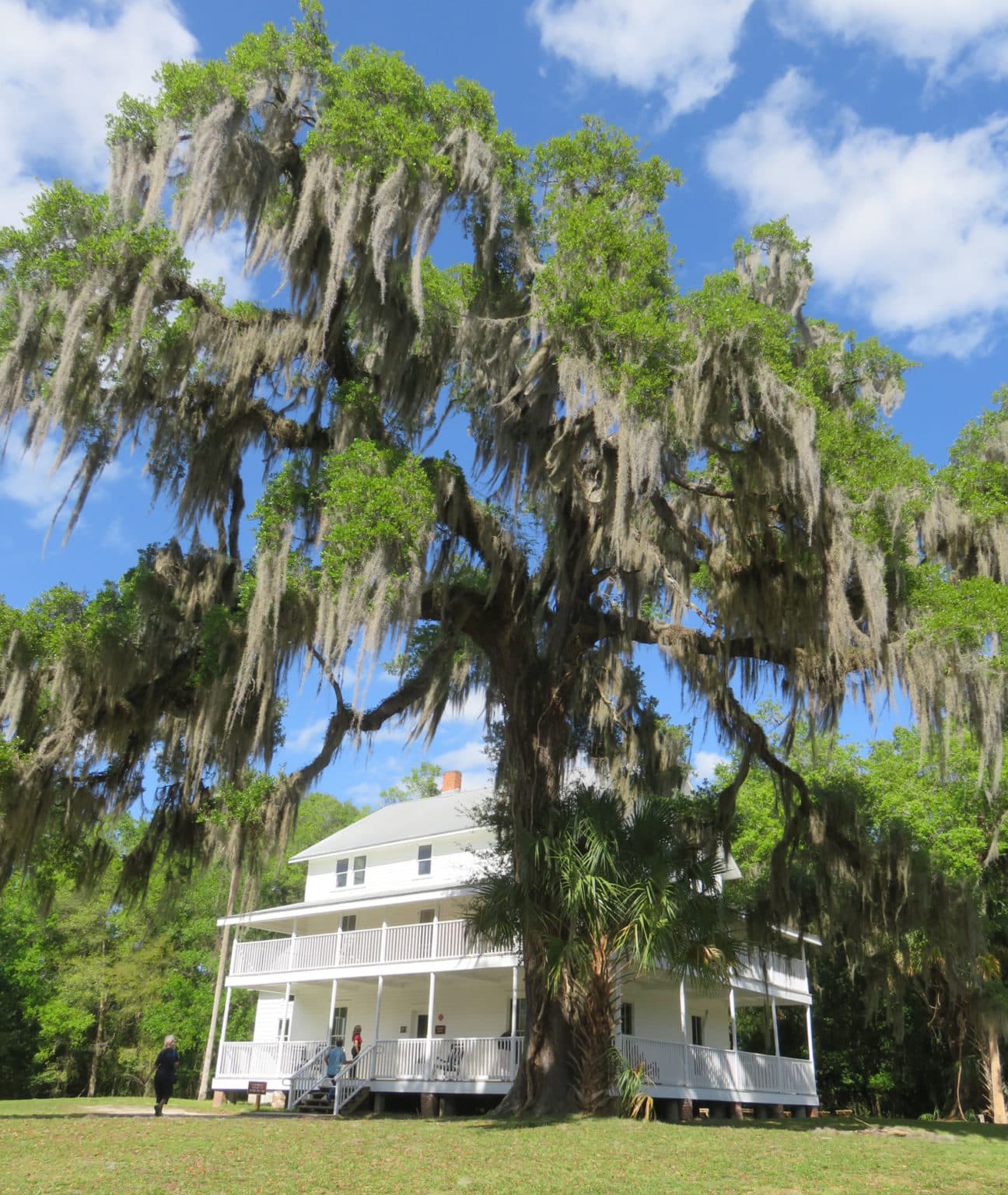 Blue Spring State Park: Manatees & natural beauty