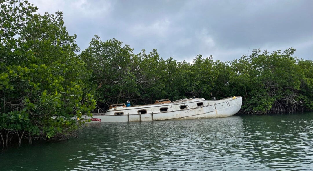 Kayaking Marathon: Explore Boot Key's wild mangrove tunnels