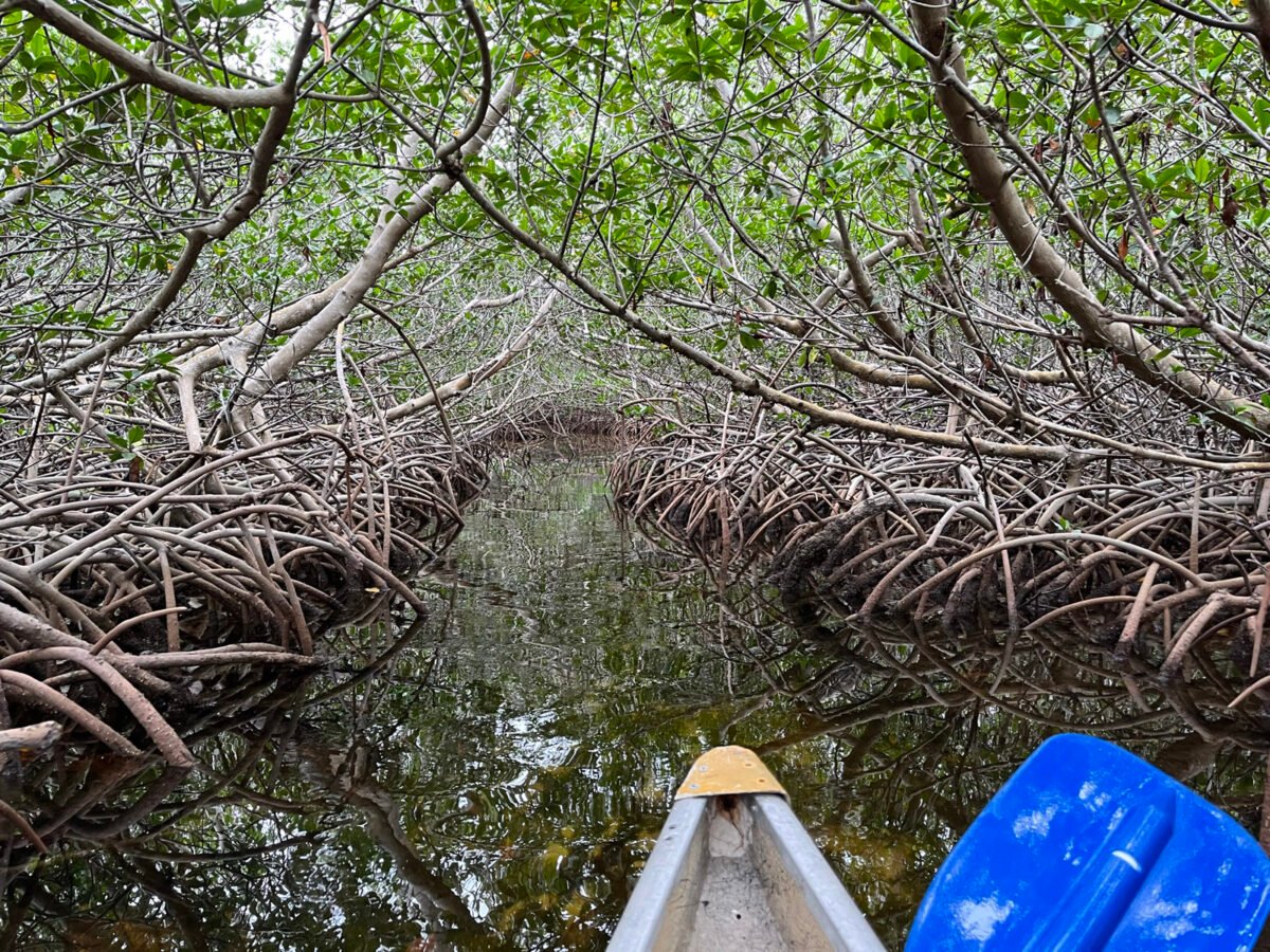 Florida Keys kayaking | floridarambler.com