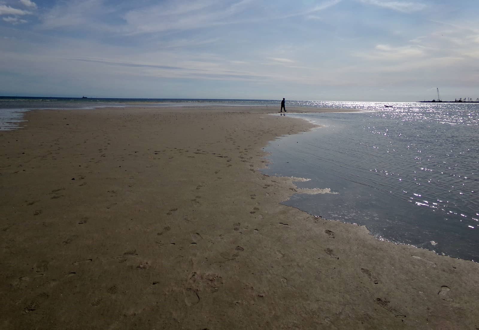 Fort Myers Bunche Beach: Heaven for kayakers, birders
