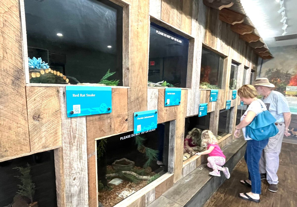 Busch Wildlife Sanctuary: Free, fun way to see Florida wildlife