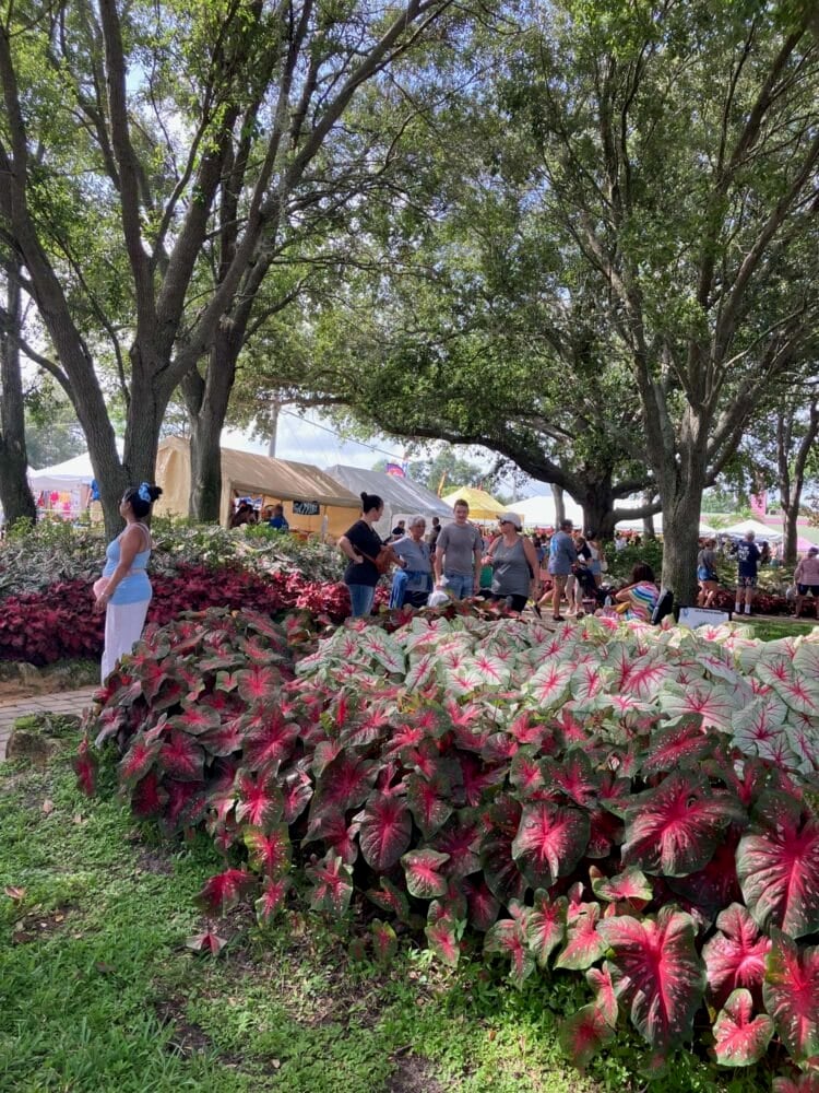 Lake Placid Caladium Festival, July 2025