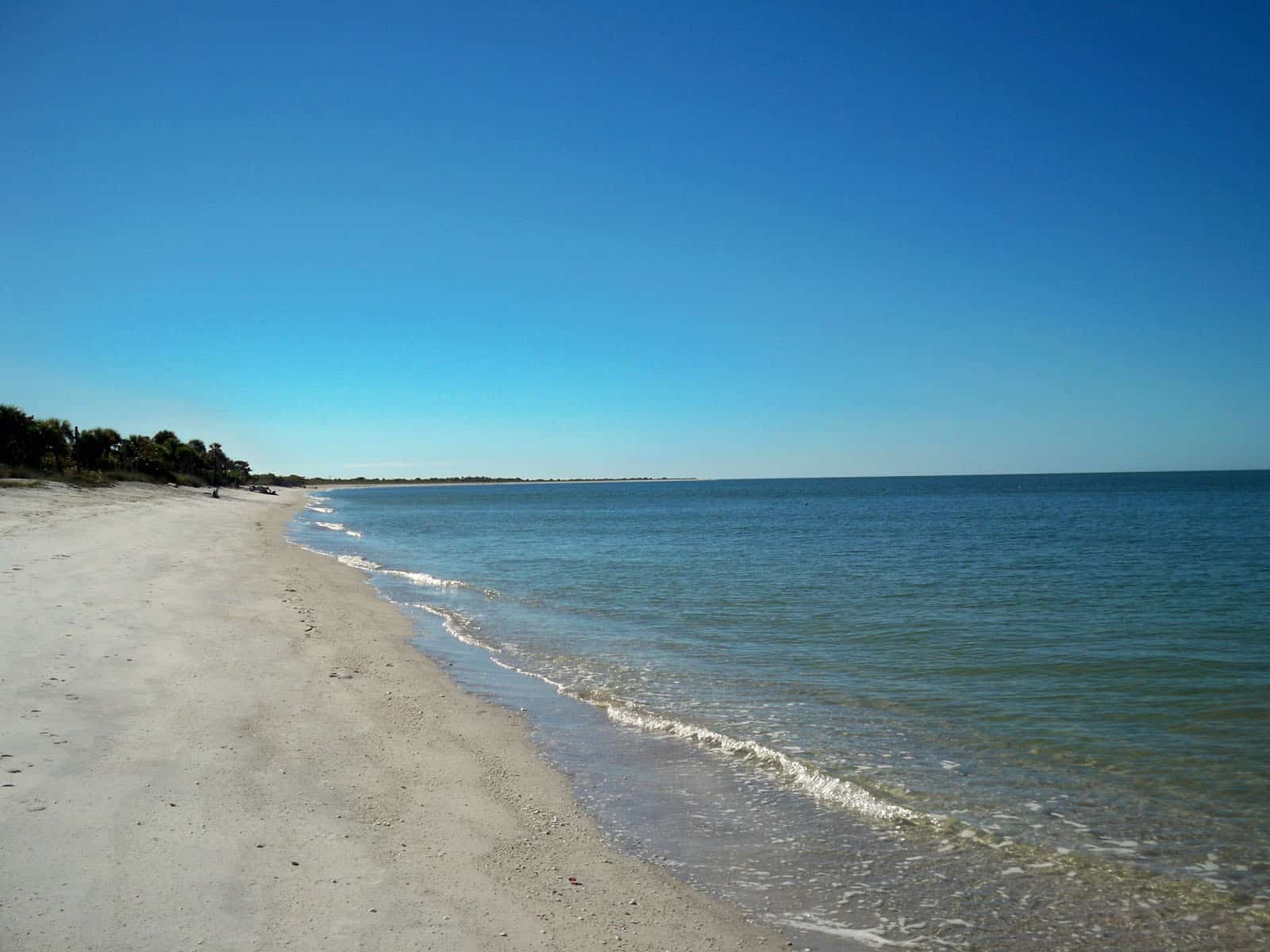 Cayo Costa: Day trip to a wild island with spectacular beach
