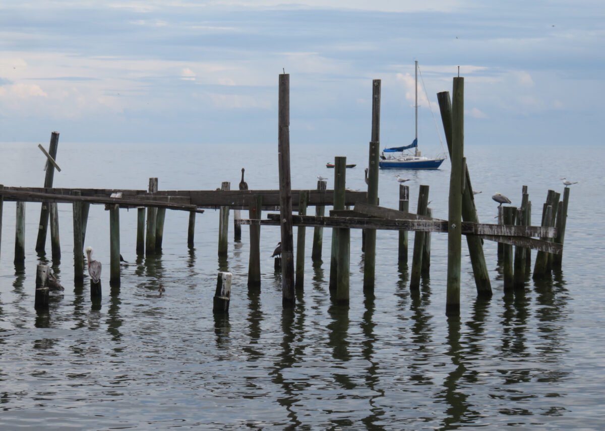 6 things to do in Cedar Key, a charming, historic spot
