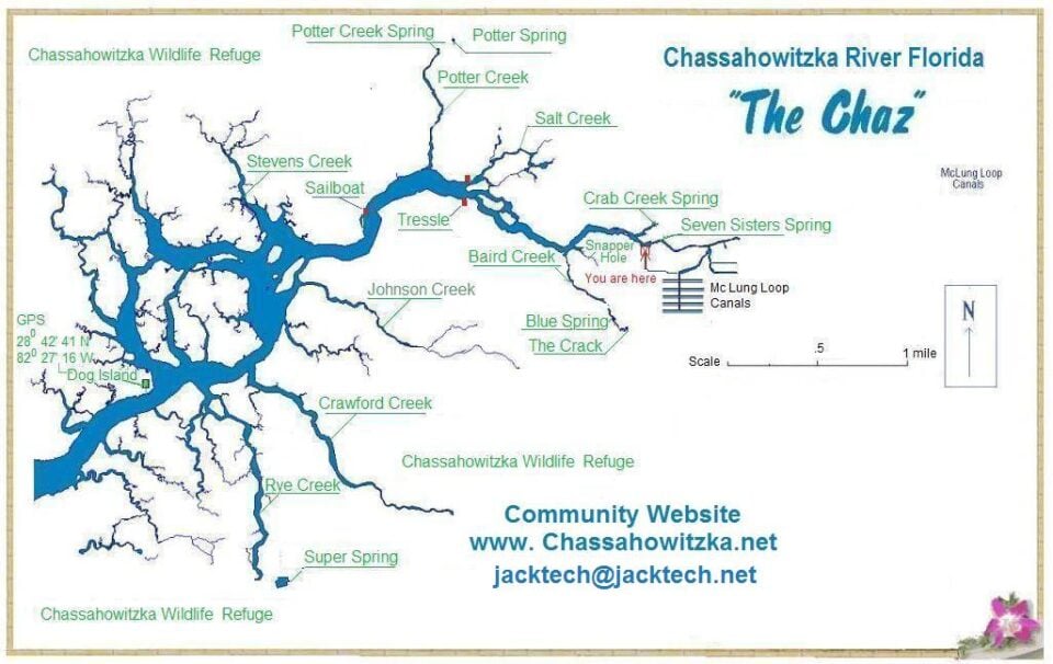 Chassahowitzka: Springs & wildlife make the Chaz memorable