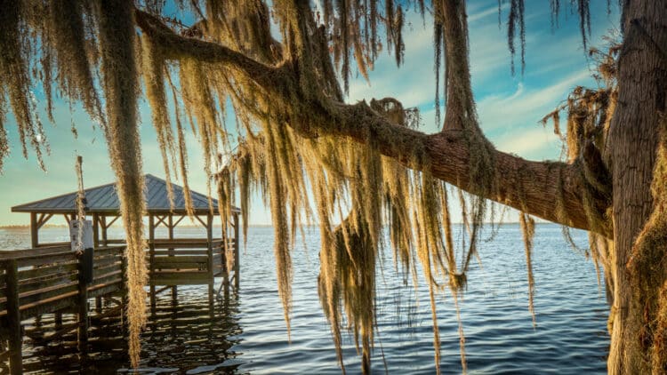 Circle B Bar Reserve in Lakeland: Thrilling for its wildlife