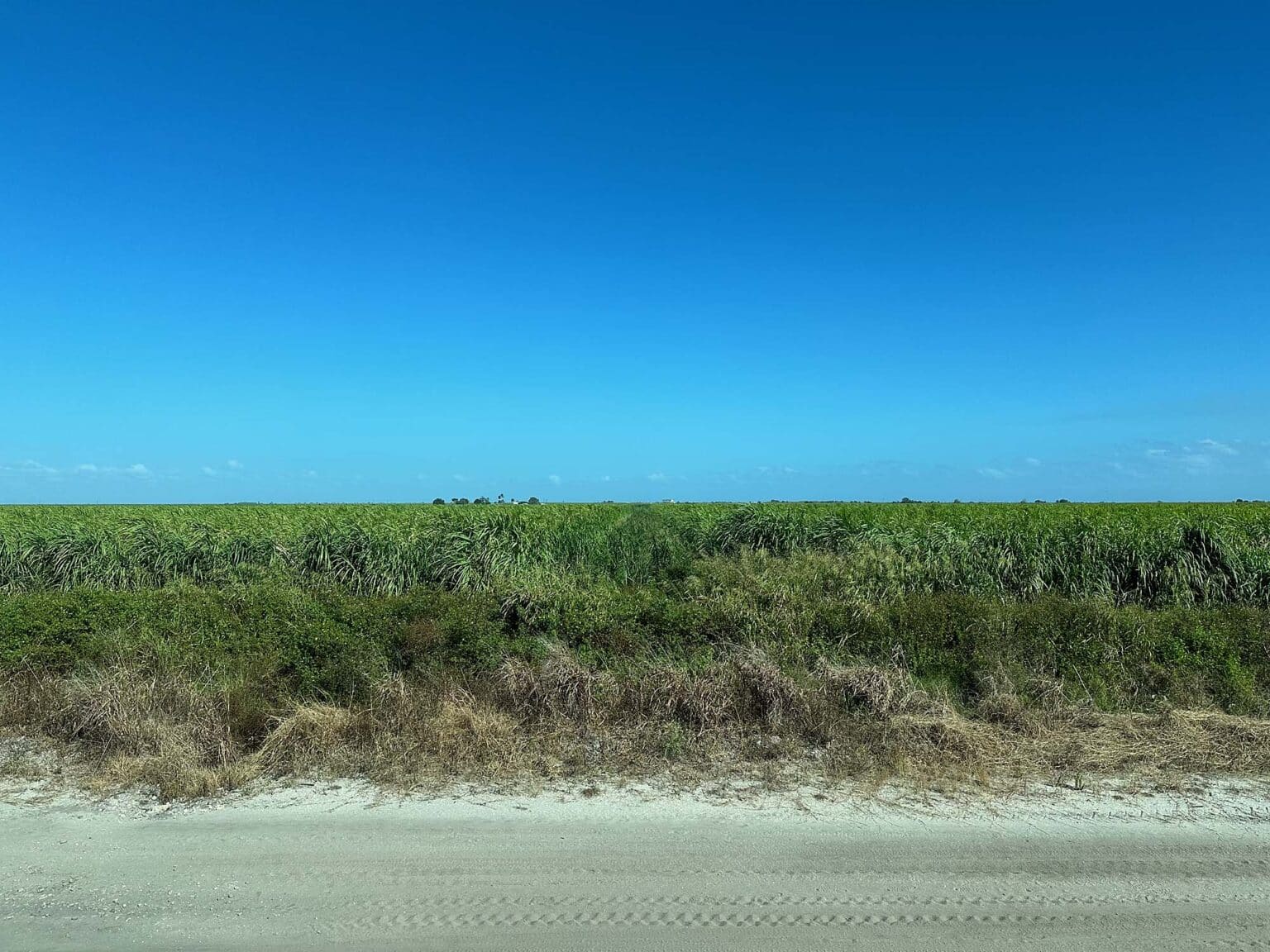 Sugar Express steams into the past | floridarambler.com