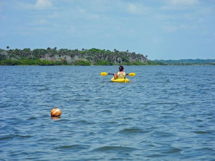 Primitive island camping a starlit Florida escape | floridarambler.com