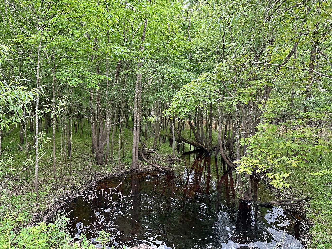 11 enchanting state parks with camping in Central Florida ...
