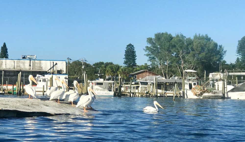 Anna Maria Island: Things to do in rare Old Florida beach town