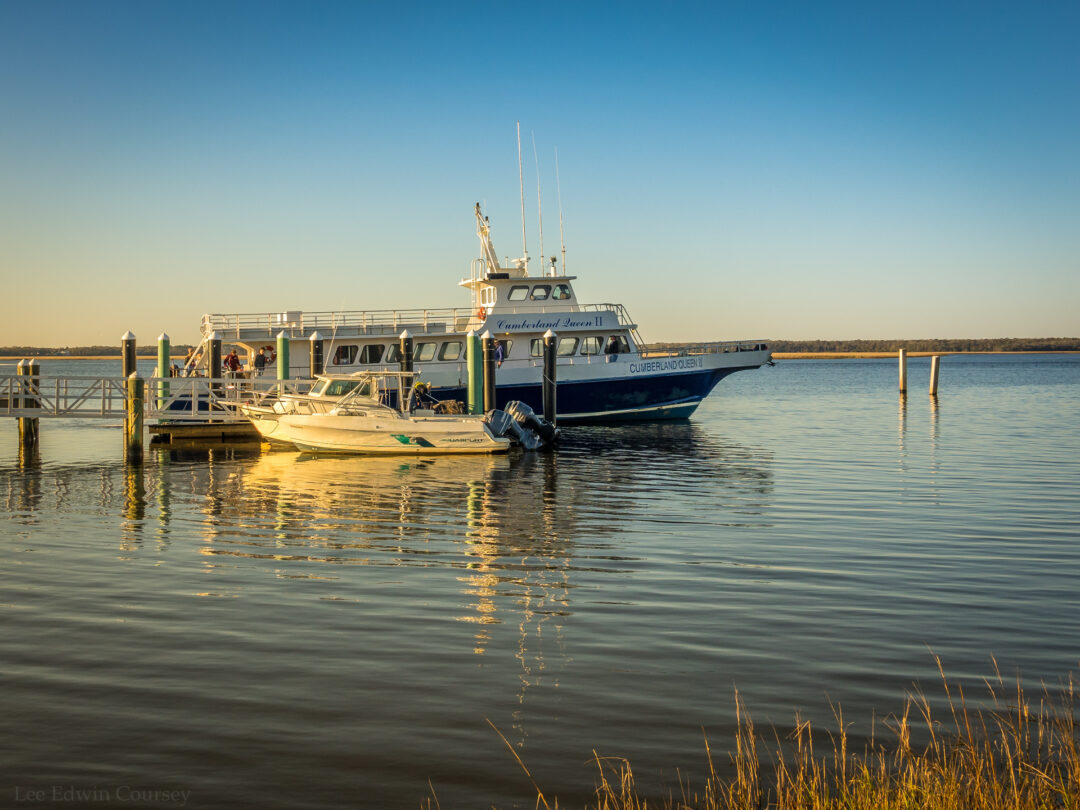 Cumberland Island: A magical coastal adventure