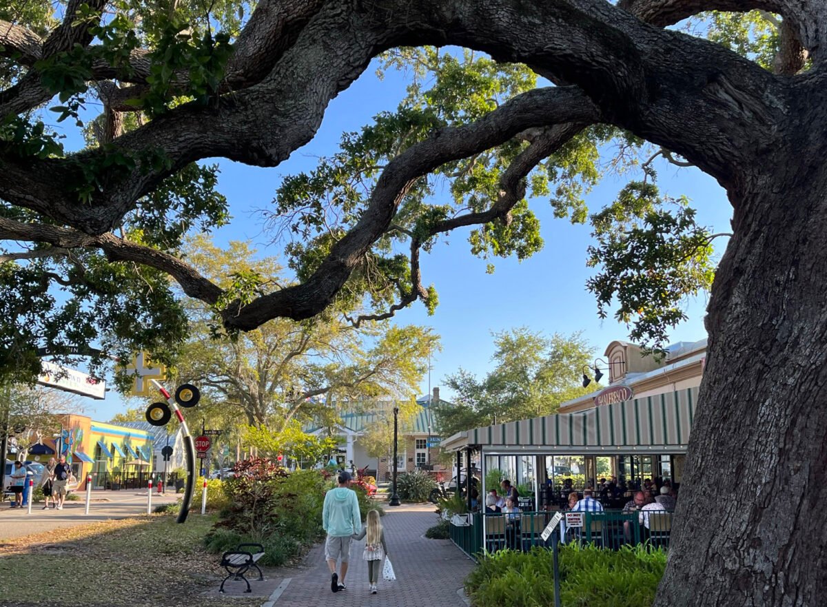 13 things to do Dunedin: Delightful biking, beer, beaches, more