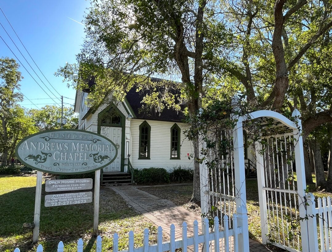 13 things to do Dunedin: Delightful biking, beer, beaches, more