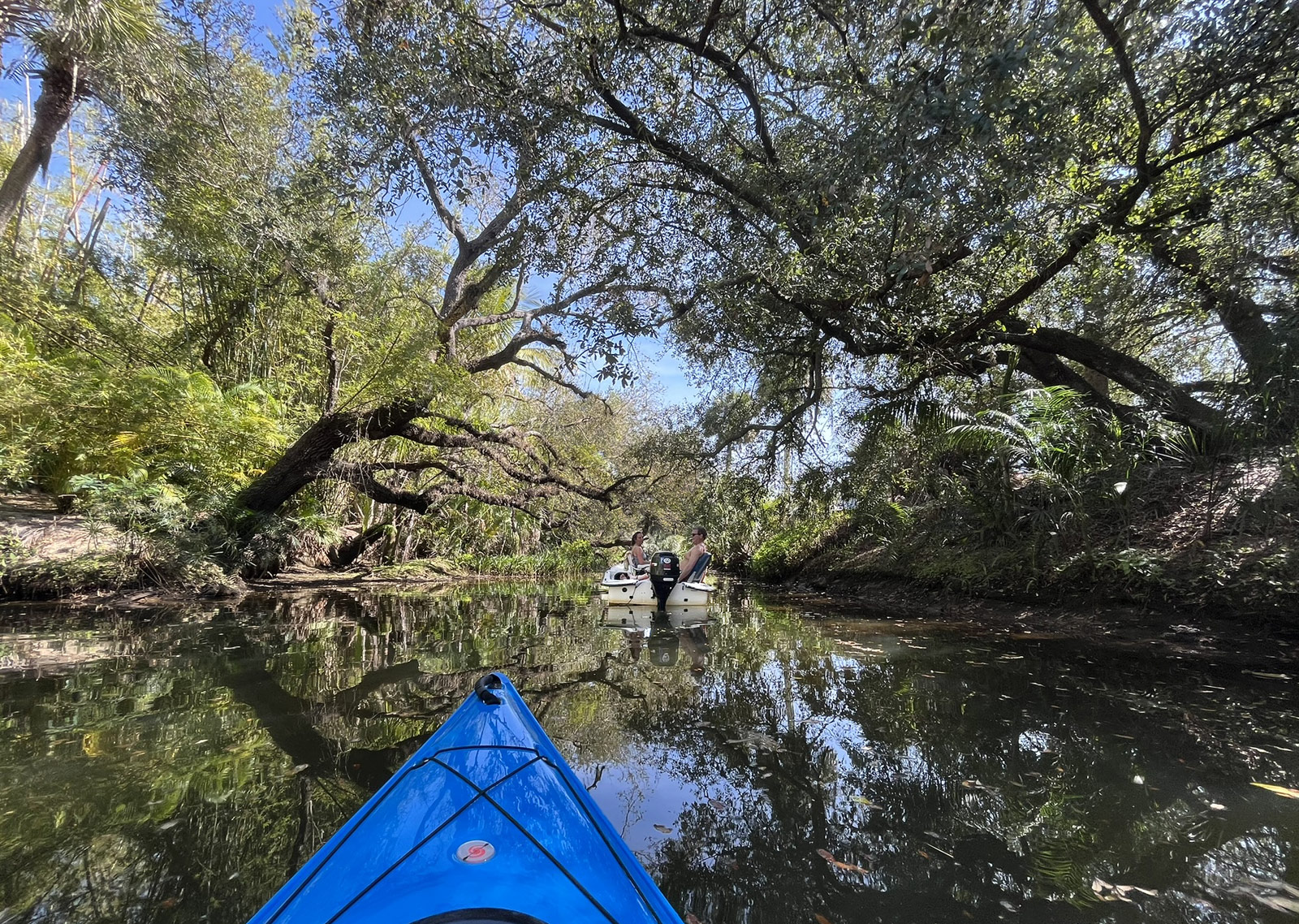 Upstream on Estero River is a gem for kayakers near Gulf Coast