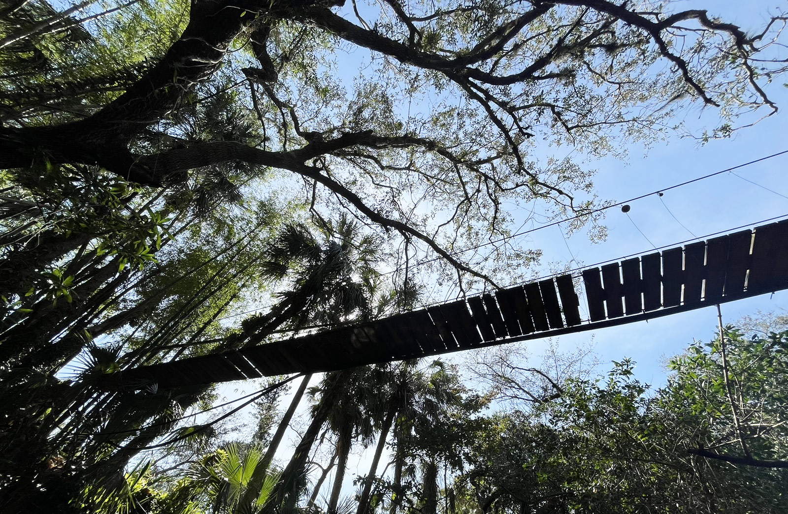 Upstream on Estero River is a gem for kayakers near Gulf Coast