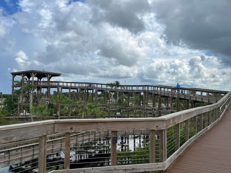 Everglades Elevated Boardwalk lets you explore nature from I-75 rest stop
