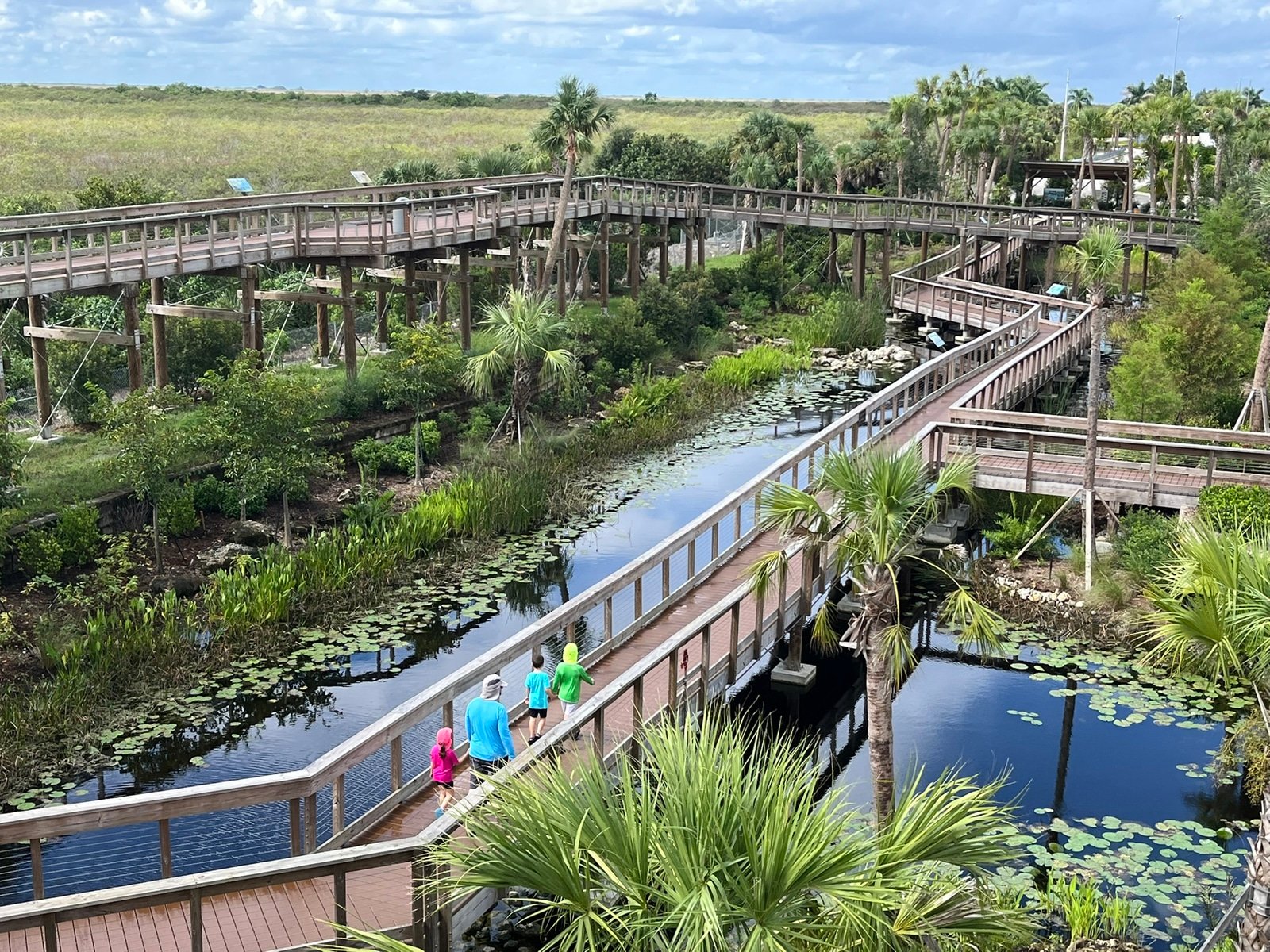 Everglades Elevated Boardwalk lets you explore nature from I-75 rest stop