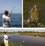 8 license-free fishing days in Florida