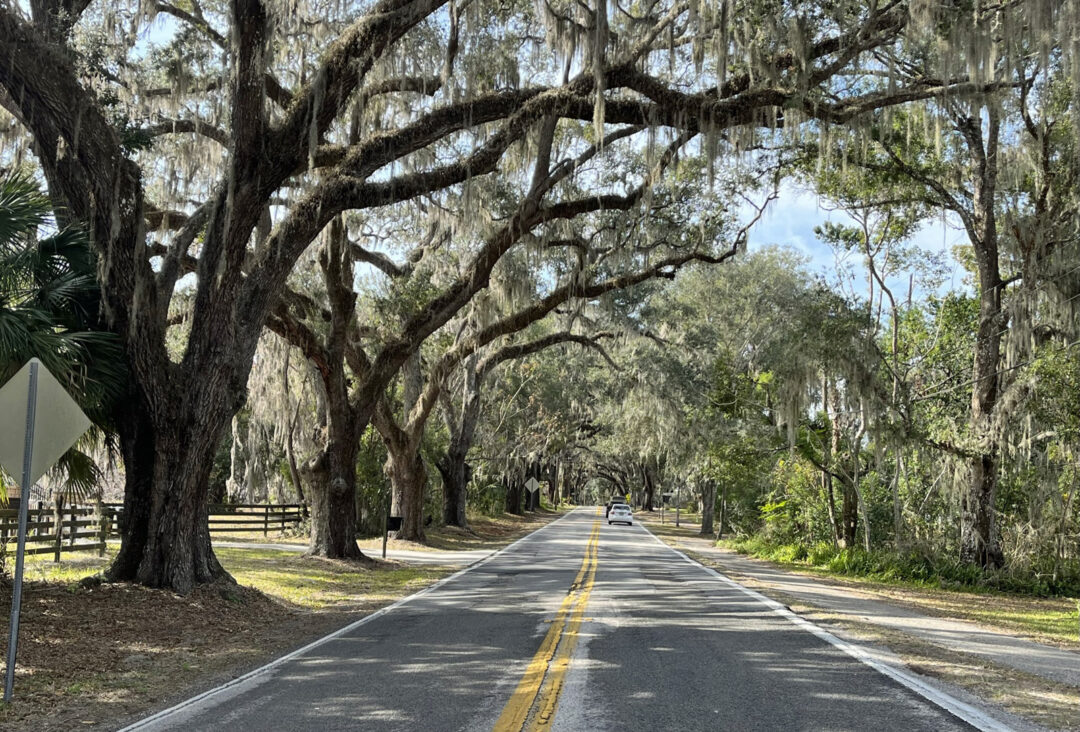 Withlacoochee State Trail might be Florida's most scenic