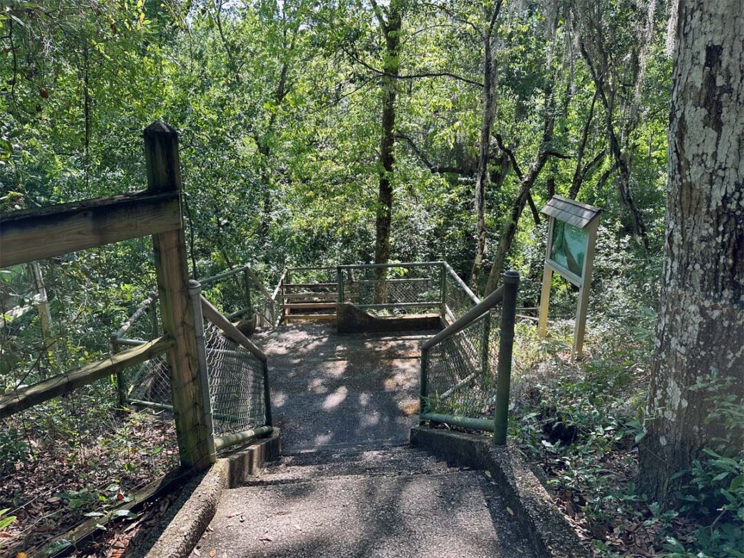 Gold Head Branch State Park | floridarambler.com