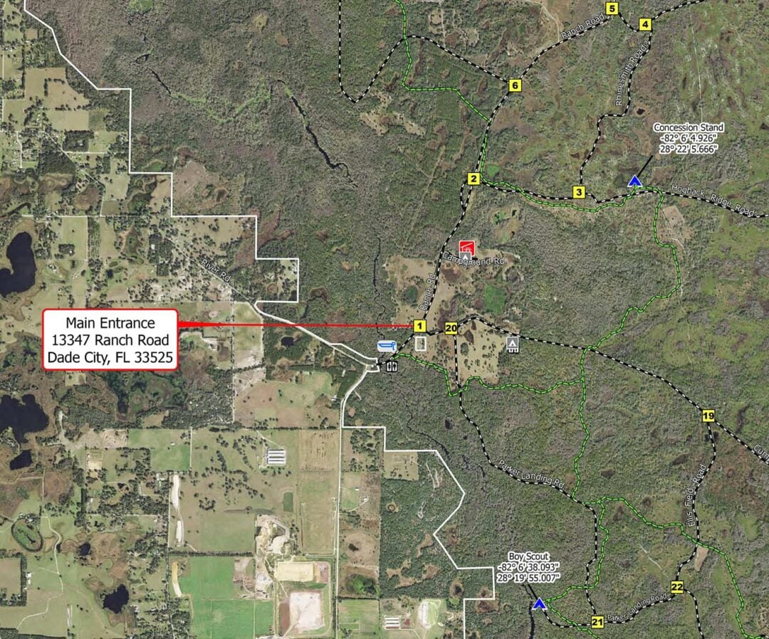 Withlacoochee River Park: Green swamp, dark skies | floridarambler.com