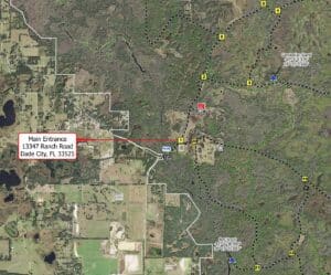 Withlacoochee River Park: Green swamp, dark skies | floridarambler.com
