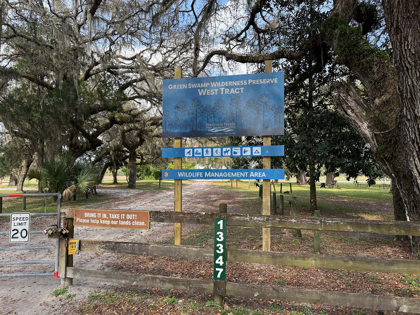 Withlacoochee River Park: Green swamp, dark skies | floridarambler.com