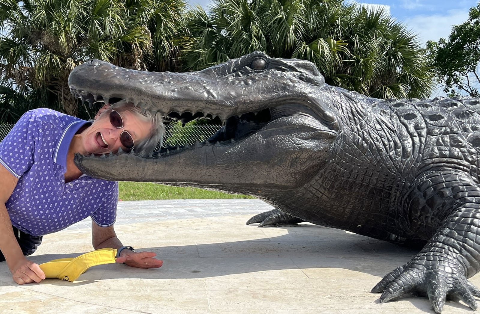 Everglades Elevated Boardwalk lets you explore nature from I-75 rest stop