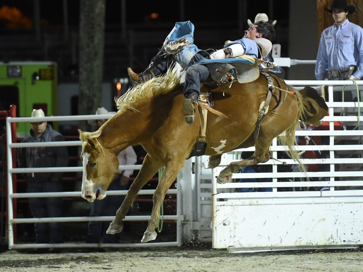 Homestead Rodeo: Jan. 26-29, 2024, where pro cowboys compete