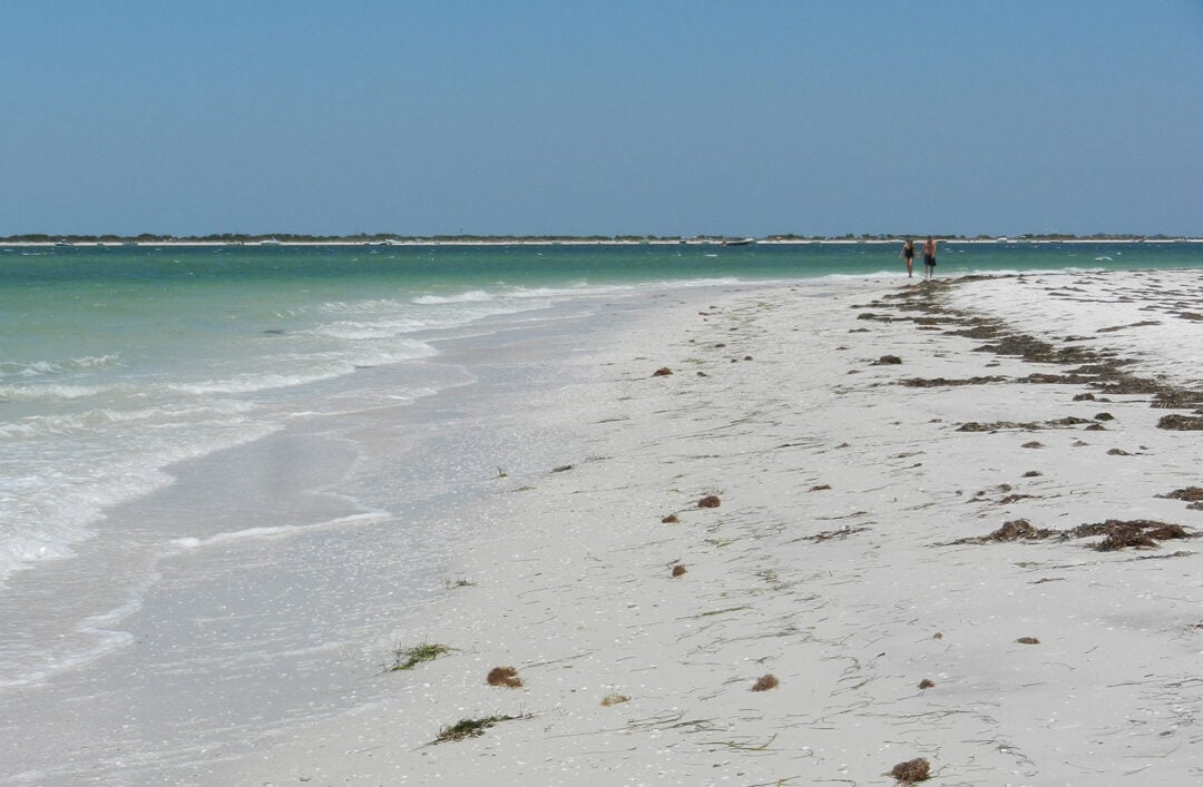 13 things to do Dunedin: Delightful biking, beer, beaches, more