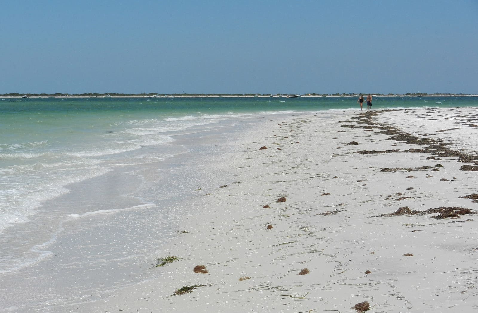 13 things to do Dunedin: Delightful biking, beer, beaches, more