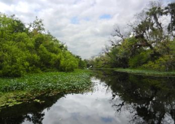 Hontoon Island State Park reopens camping and cabins