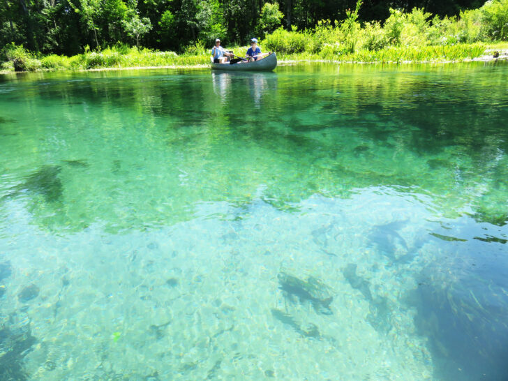 Ichetucknee Springs tubing: Amazing only-in-Florida experience