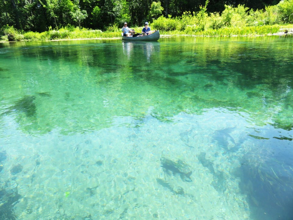 Ichetucknee Springs tubing: Amazing only-in-Florida experience