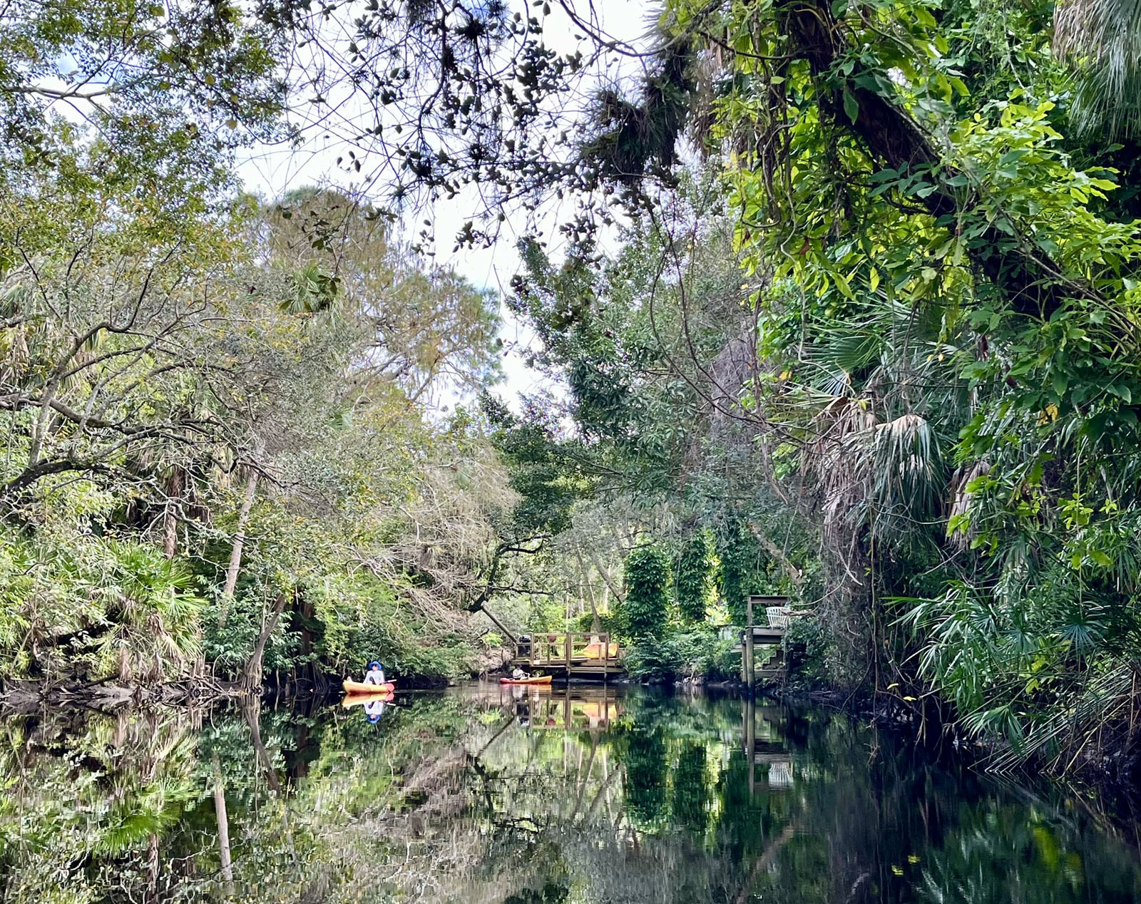 Imperial River: Delightful kayak trail in old Bonita Springs