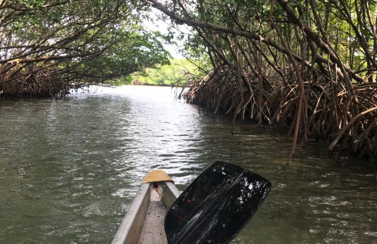 Kayaking the Indian River Lagoon: Island hopping by kayak