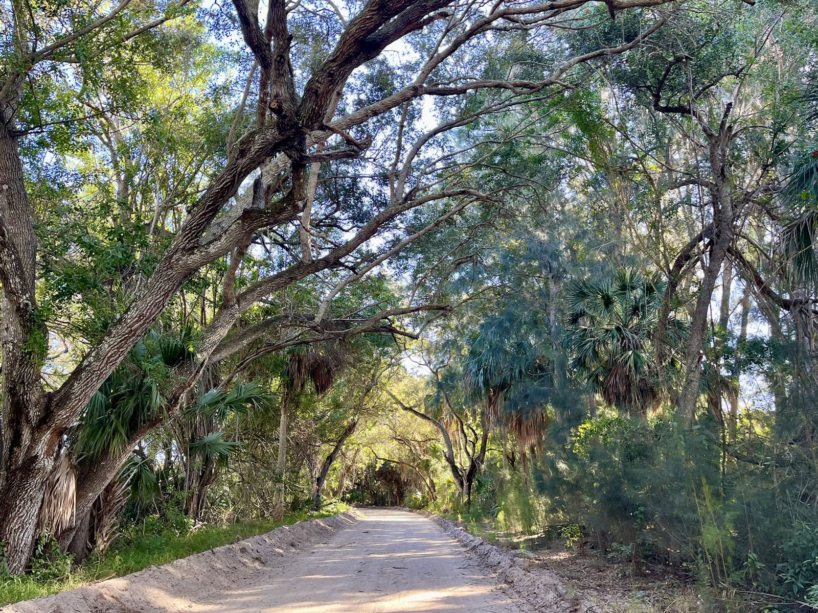 Historic Jungle Trail is an unpaved road to original Florida
