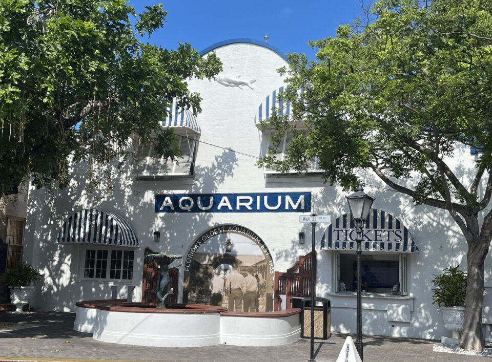 Key West Aquarium is small but historic, interesting & fun