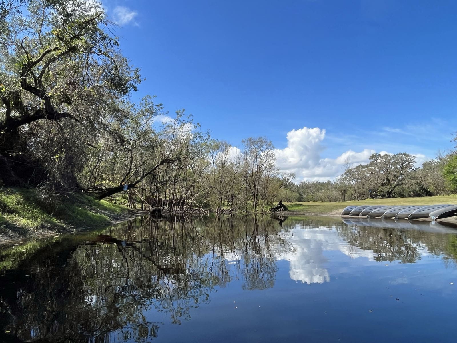 Peace River: Kayaking here is a special Florida adventure