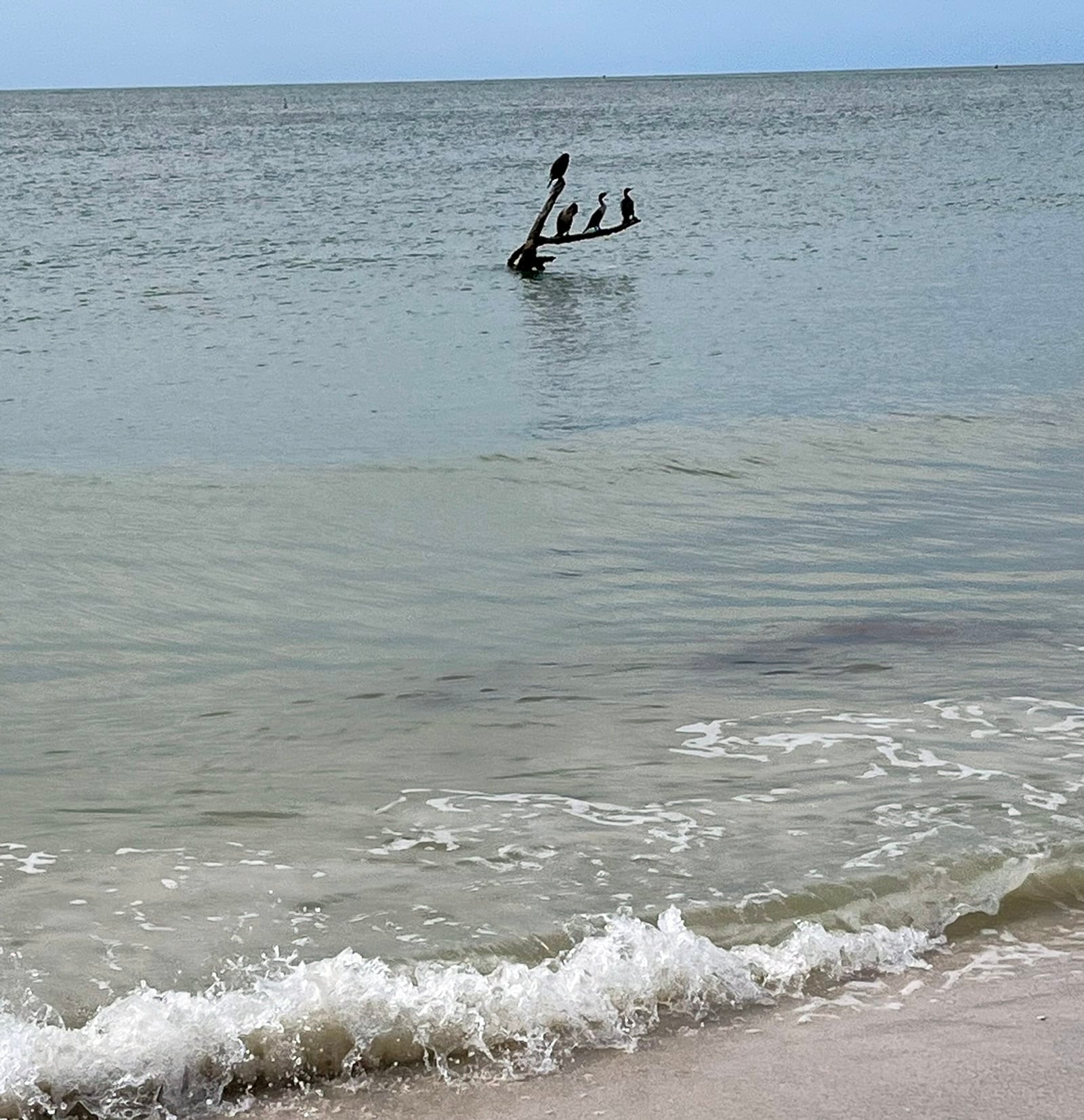 Lovers Key State Park: We love the kayaking, beach, manatees