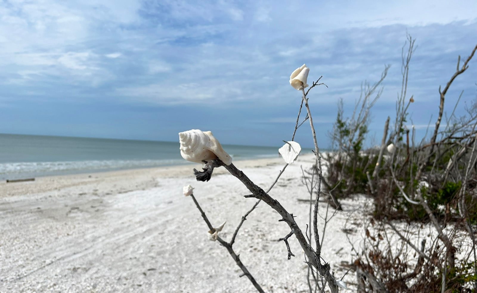 Lovers Key State Park: We love the kayaking, beach, manatees