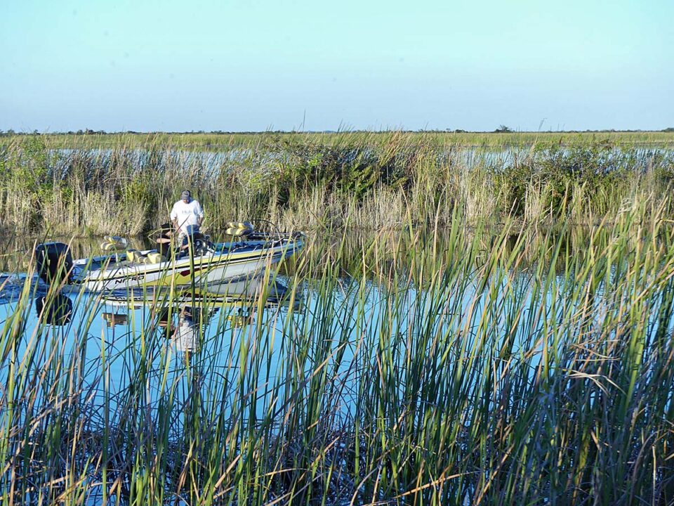The hidden side of the Loxahatchee National Wildlife Refuge