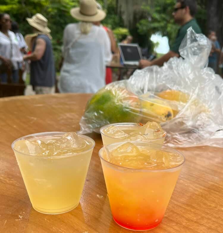 Fairchild Garden Mango Festival inspires a mango taste test