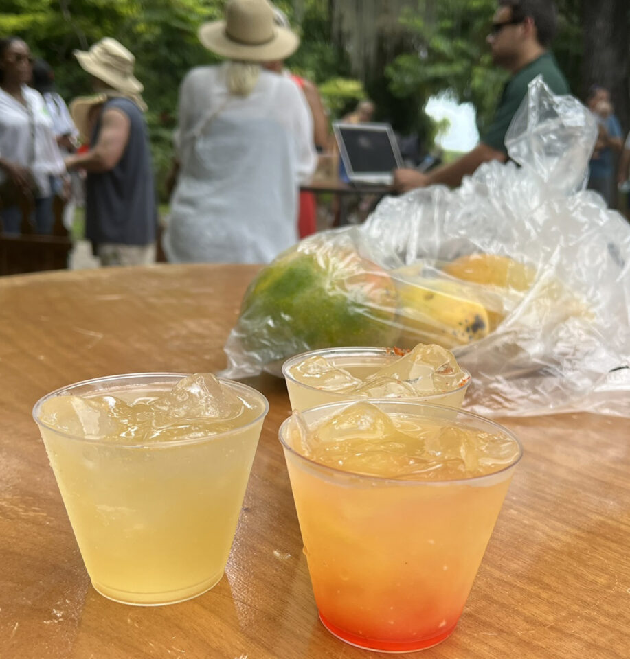 Fairchild Garden Mango Festival inspires a mango taste test